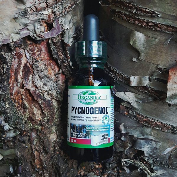 7 Health Benefits of Nature's Most Powerful Anti-oxidant, Pycnogenol ...