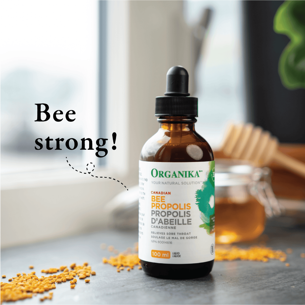 More than honey: What is Bee Propolis? - Blog - Organika Health Products
