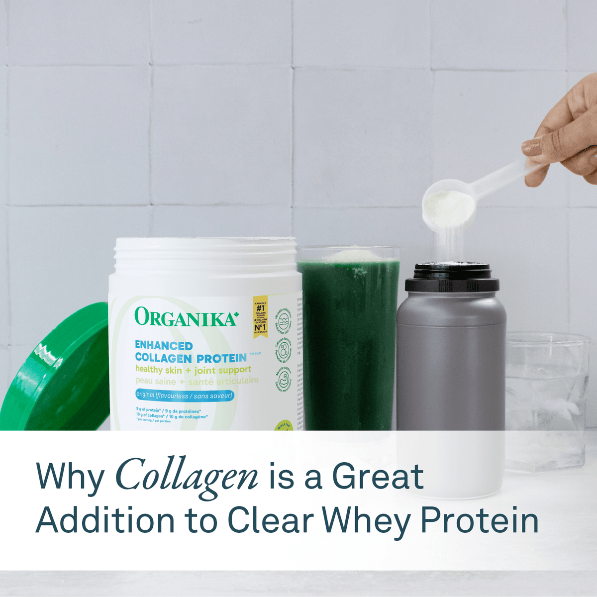 Why Collagen Is a Great Addition to Clear Whey Protein – Organika ...